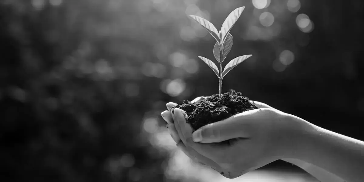 Senarath Construction | Senarath Asphalt